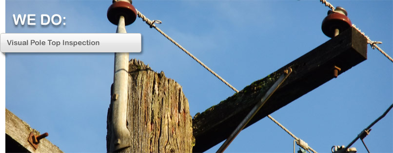 Pole-Tec Wood Utility Pole Inspection Wooden Pole Inspections Poles Inspections Vancouver BC Canada